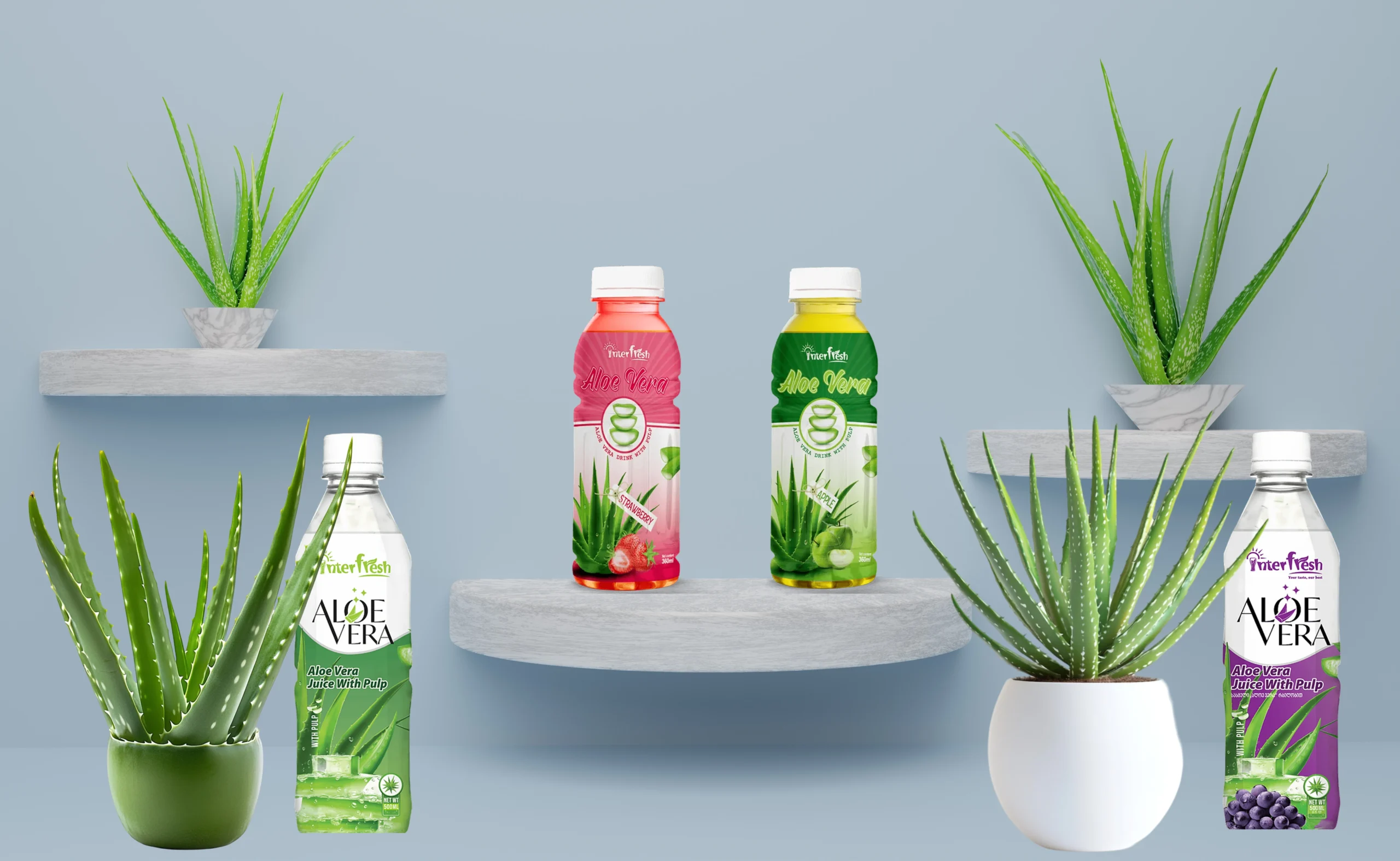 Vietnam Aloe Vera Beverage Manufacturer | OEM & Exporter Of Aloe Vera ...